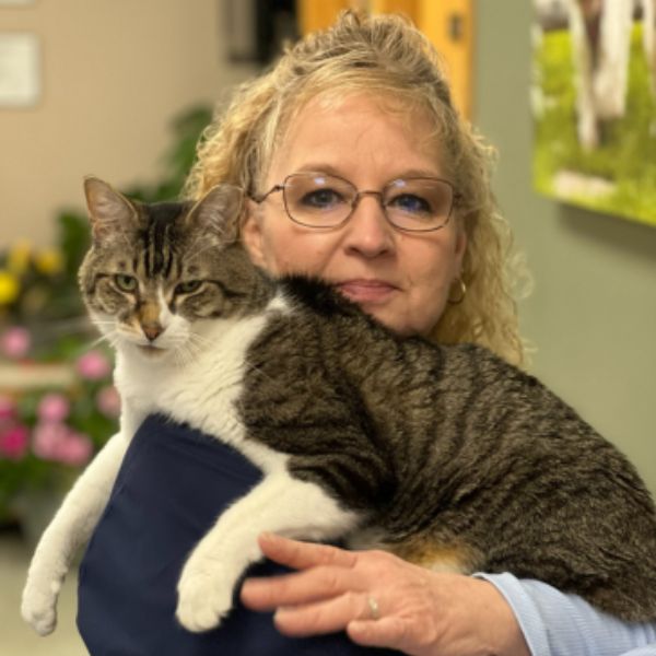 Eagle River, WI Veterinary Jobs | Northwoods Animal Hospital